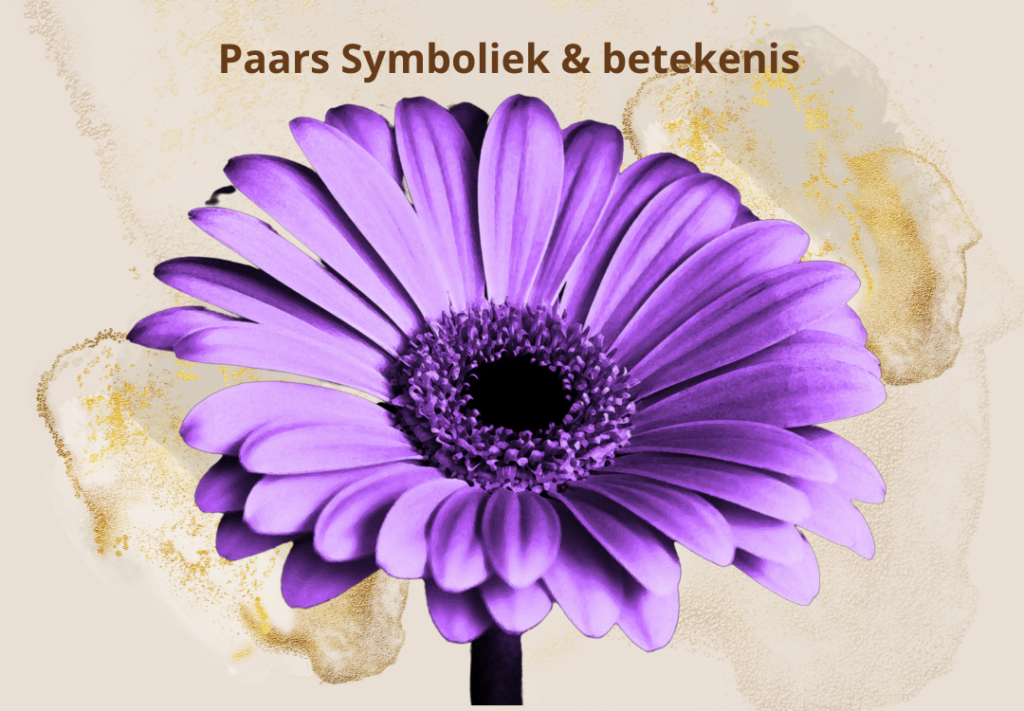 Kleur betekenissen en symboliek - spiritstyle