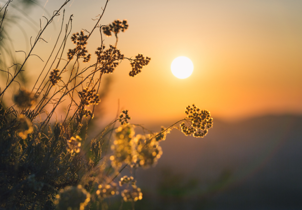 Zon Spirituele Betekenis - spiritstyle